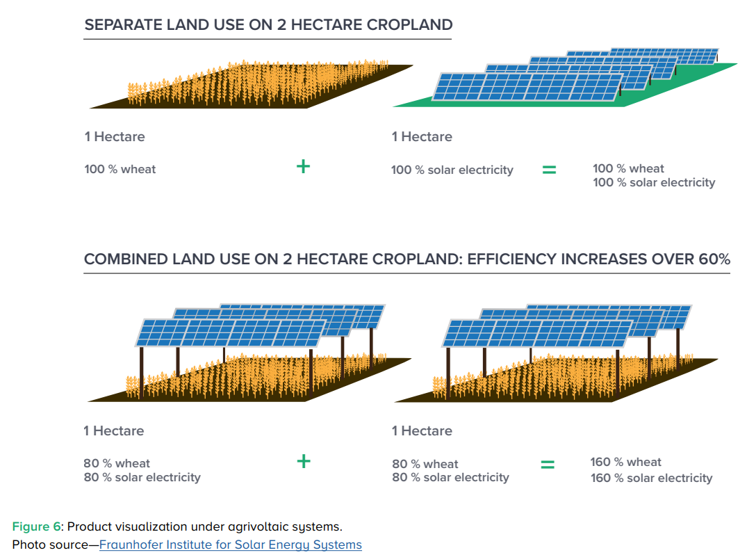 Agrivoltaica: innovación para un futuro sostenible Global Energy